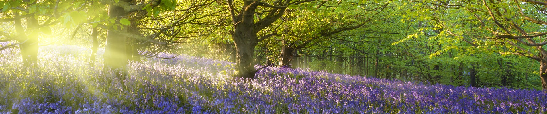 Element Recruitment, Finance, Accounting, Administration, HR